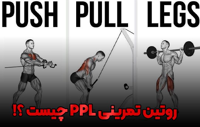 اسپلیت تمرینی ppl چیست و با چه هدفی طراحی می شود؟ | فیتنس پرشین