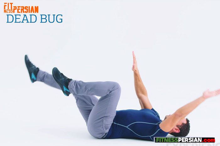آموزش حرکت ددباگ به همراه نکات مهم | فیتنس پرشین
