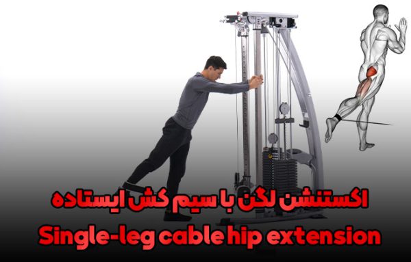 آموزش اکستنشن لگن با سیم کش cable hip extension | فیتنس پرشین