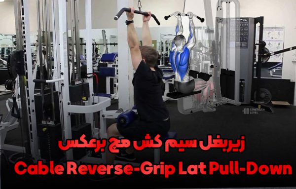 حرکت زیربغل سیم کش مچ برعکس Cable Reverse-Grip Lat Pull-Down